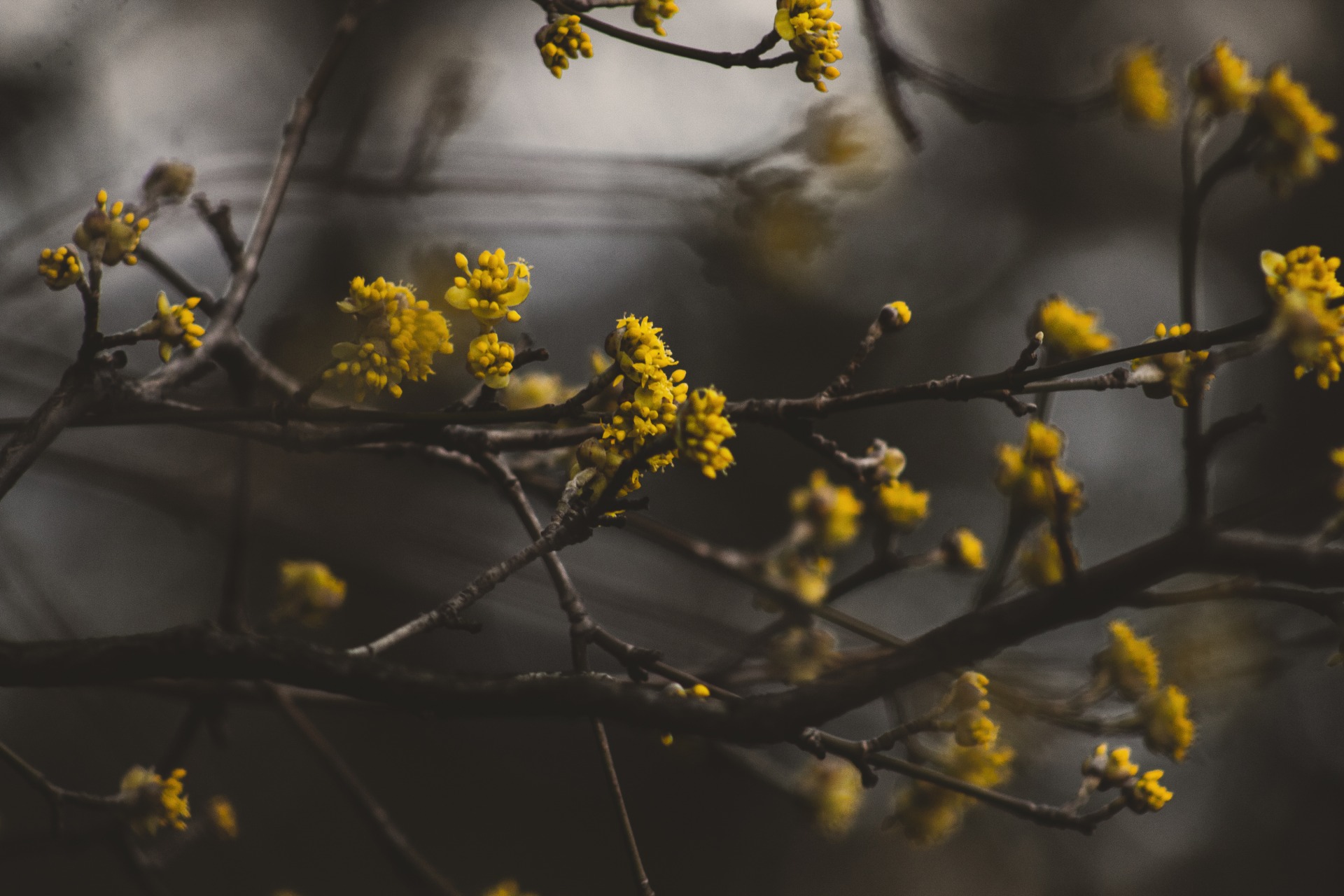 služby :: bart photography